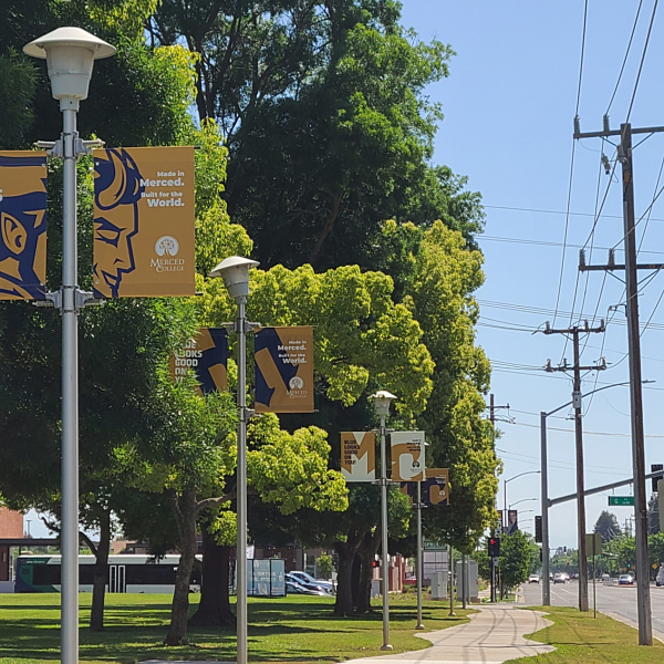 Customize Your Pole Banner Hardware | Pole Banner… | bannersaver.com